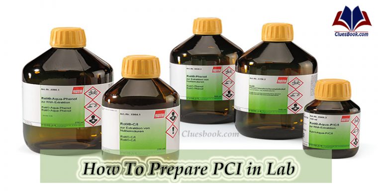 Home [cluesbook.com]